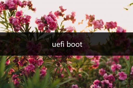 uefi boot-比翼知识网